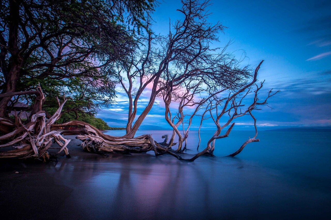 Daniel Sullivan — The Art Agency