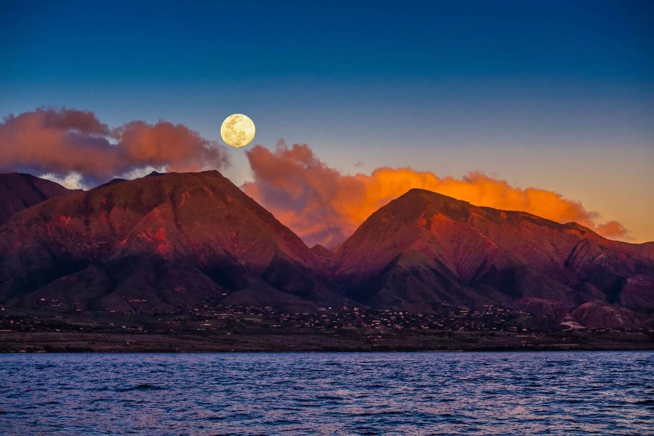 Daniel Sullivan — The Art Agency