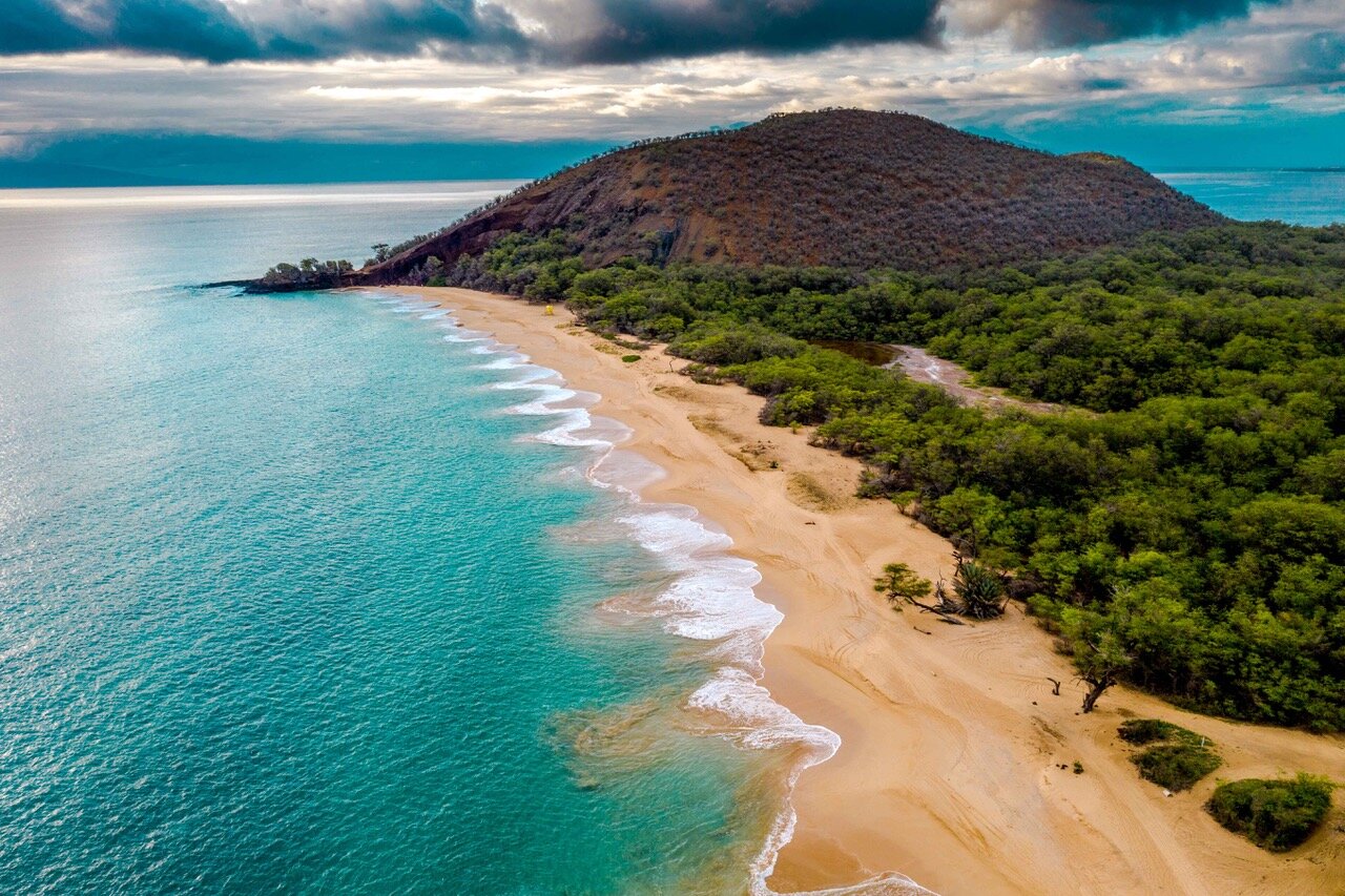 Daniel Sullivan — The Art Agency