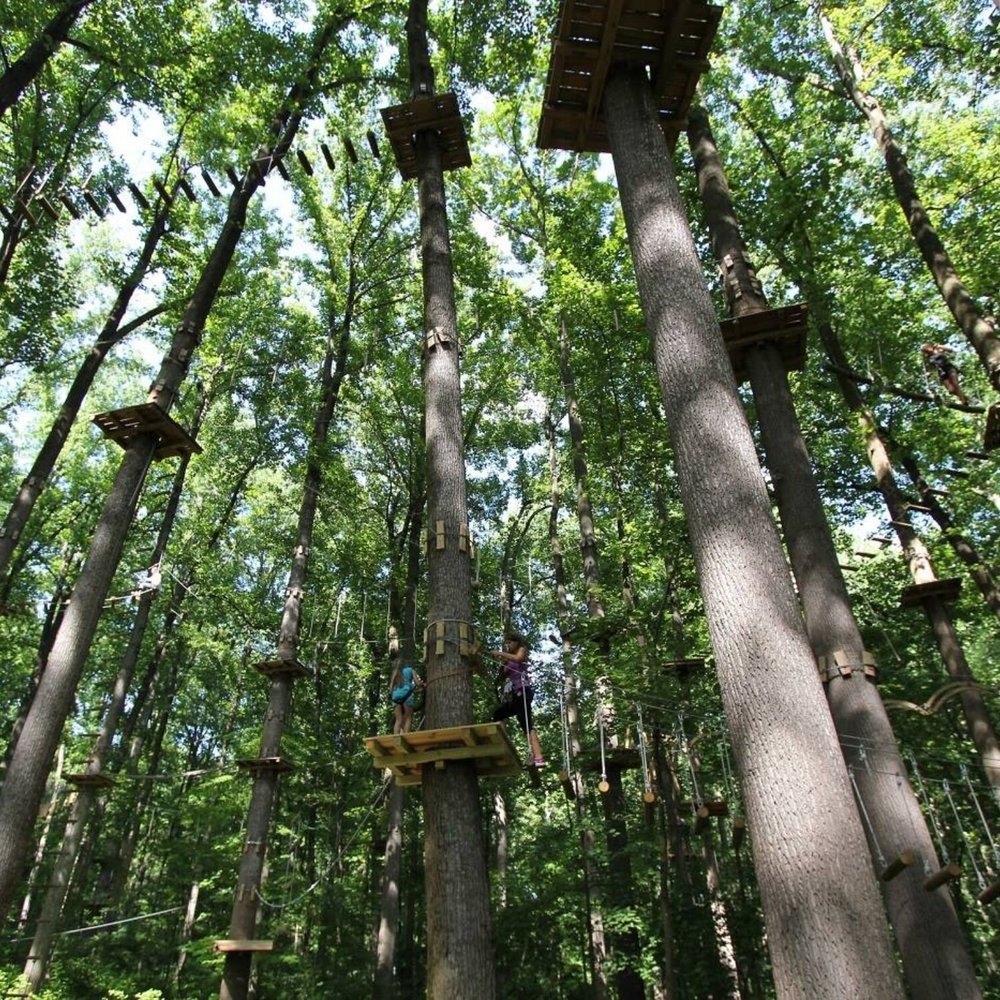 10 Great Outdoor Activities for Kids on Long Island — Long Island Wave