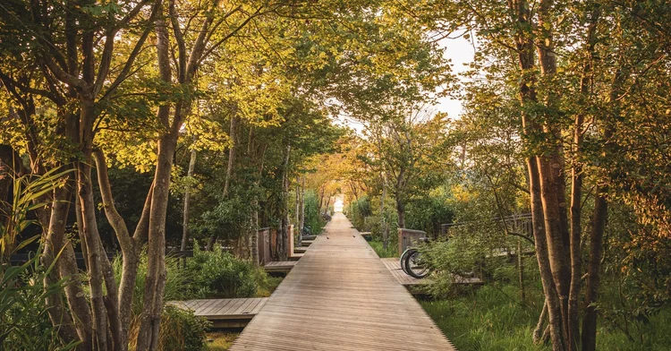 Discover Long Island's Most Instagrammable Spots | Picture-Perfect ...