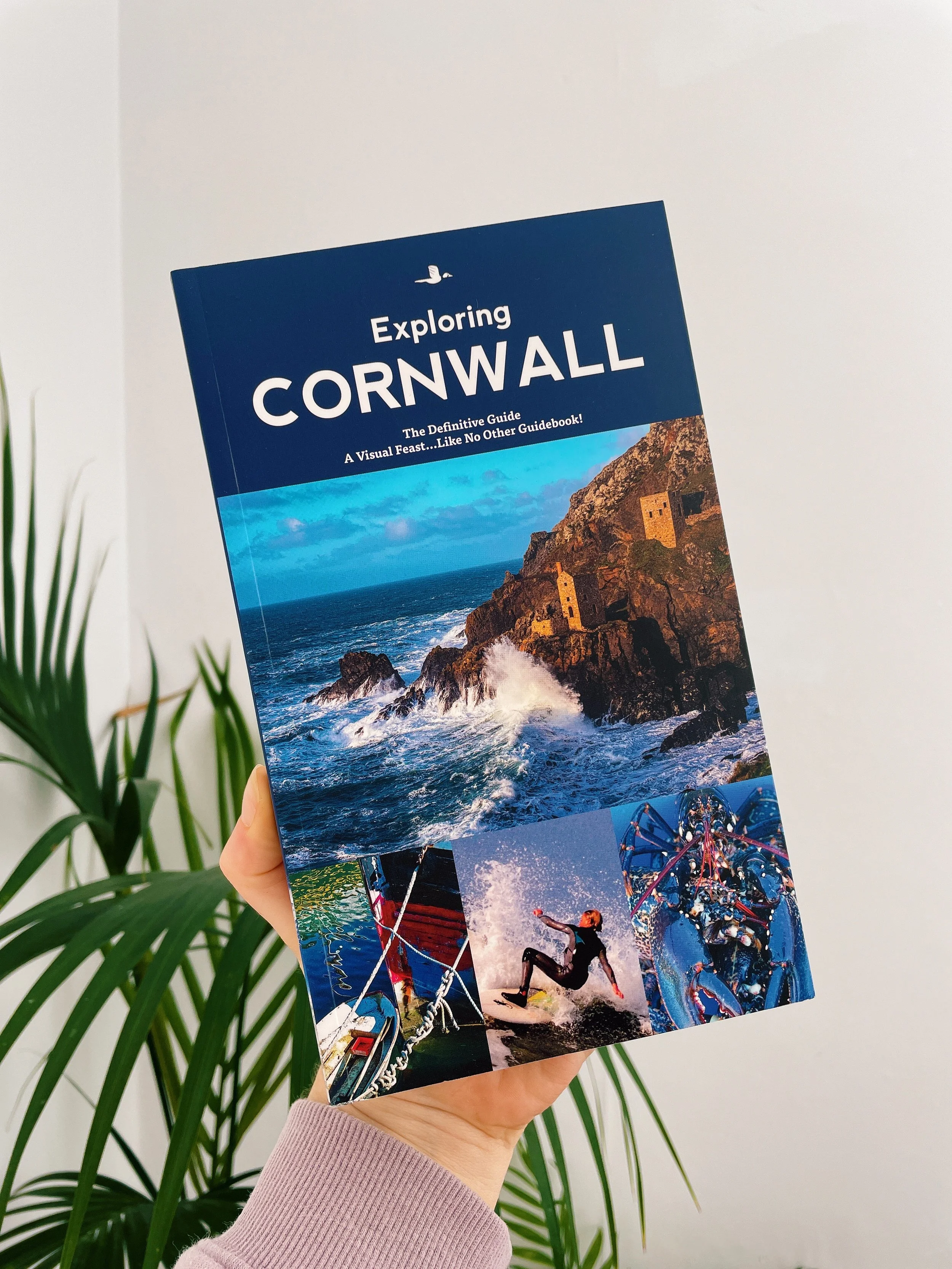 Goldeneye Guides: UK Travel Guidebooks for Walking & Cycling