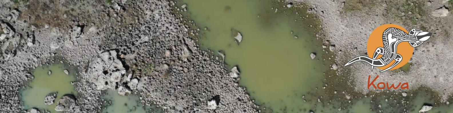 Kowa