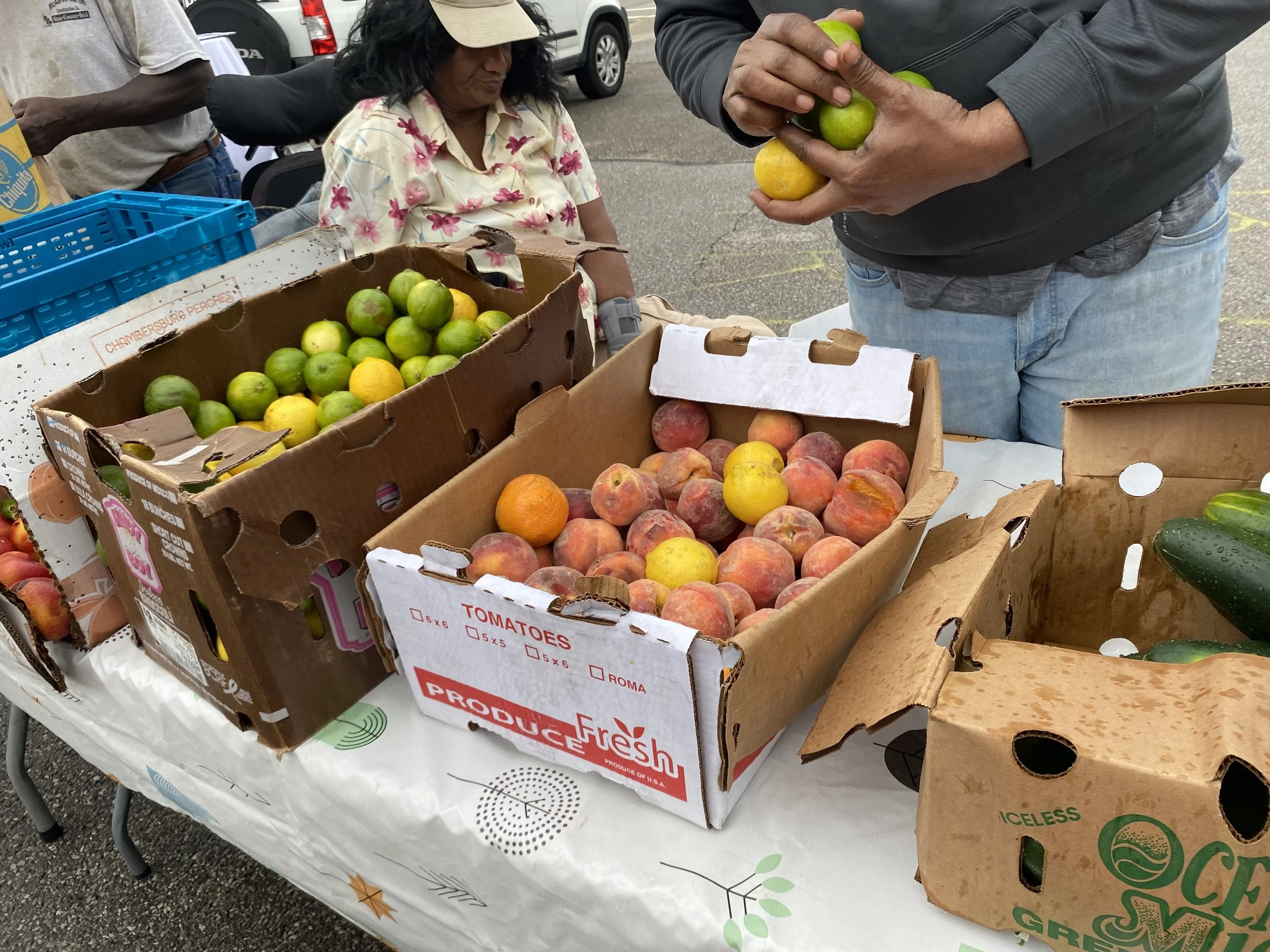 Black Power Initiative