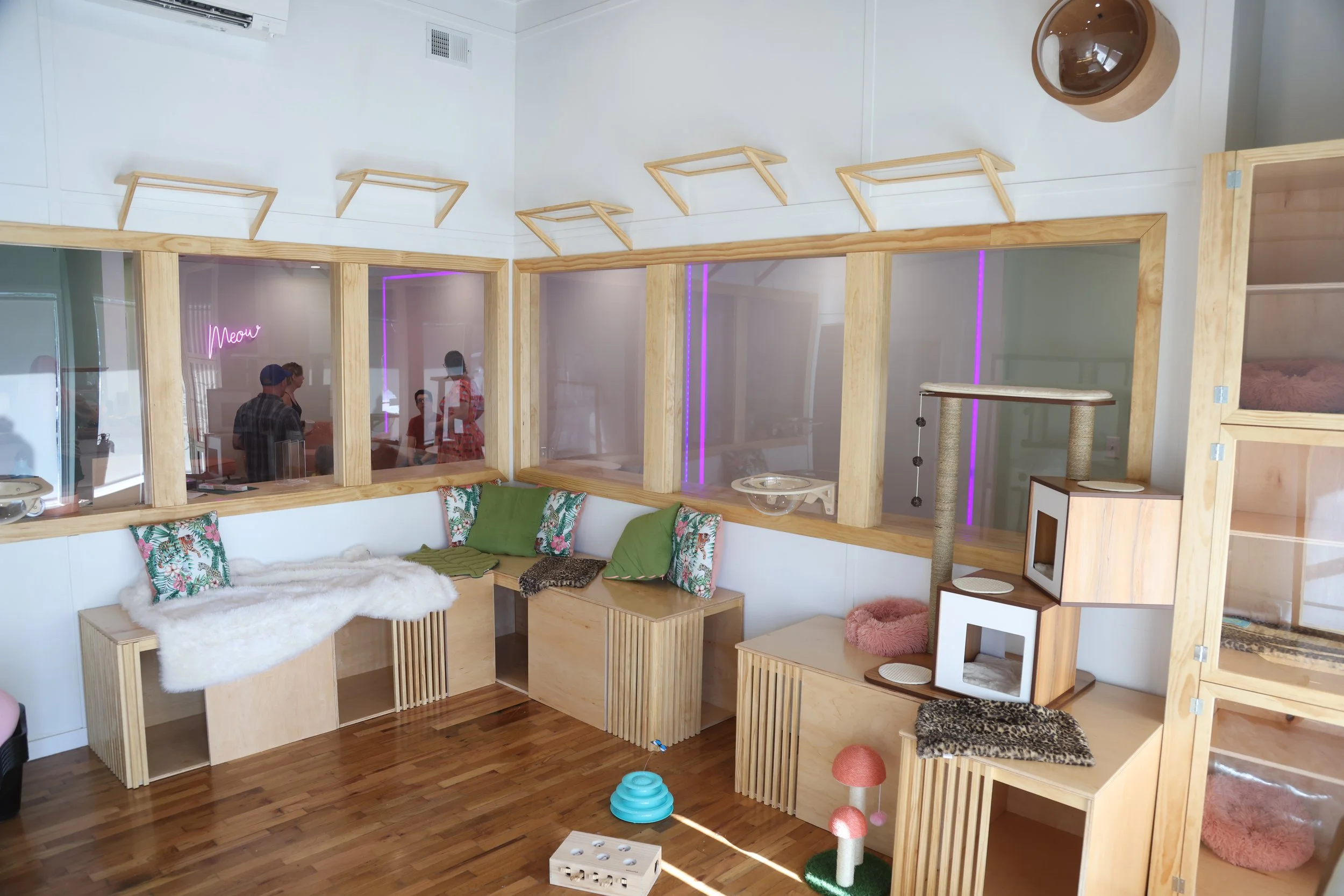 Photos — Espurresso Cat Cafe