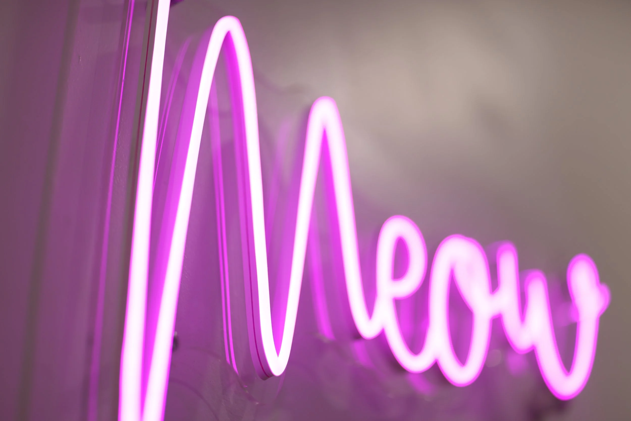 Photos — Espurresso Cat Cafe