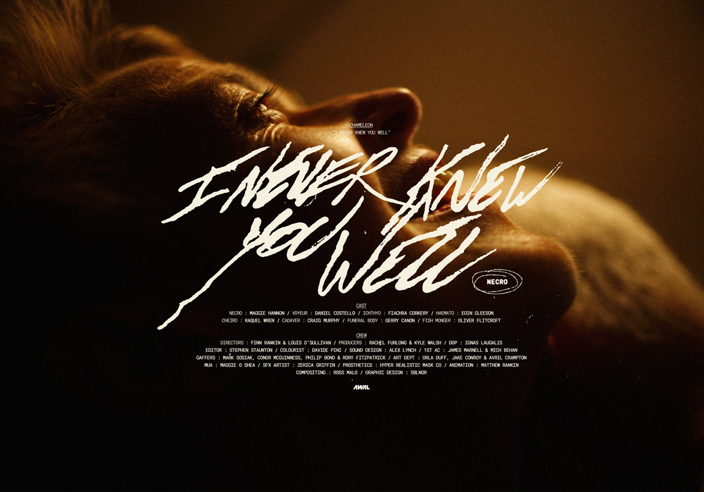 promotional artworks | Create Impactful Promotions Today — sb