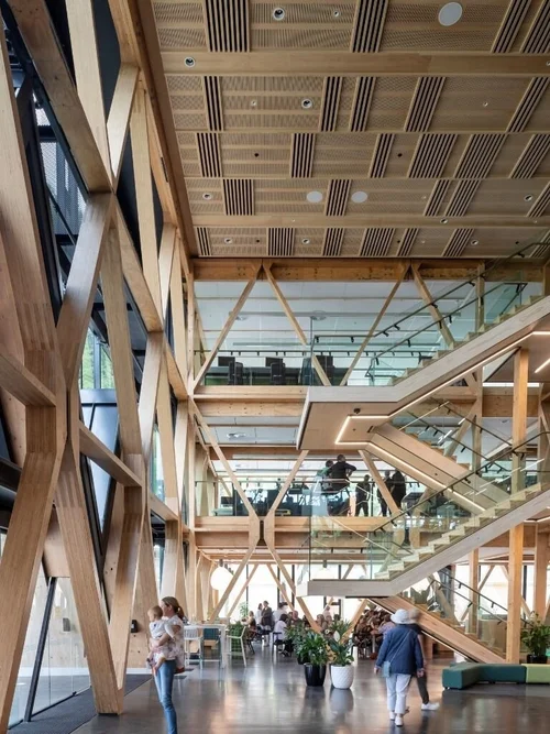 Schools & Government — Batten & Cradle Flooring Systems