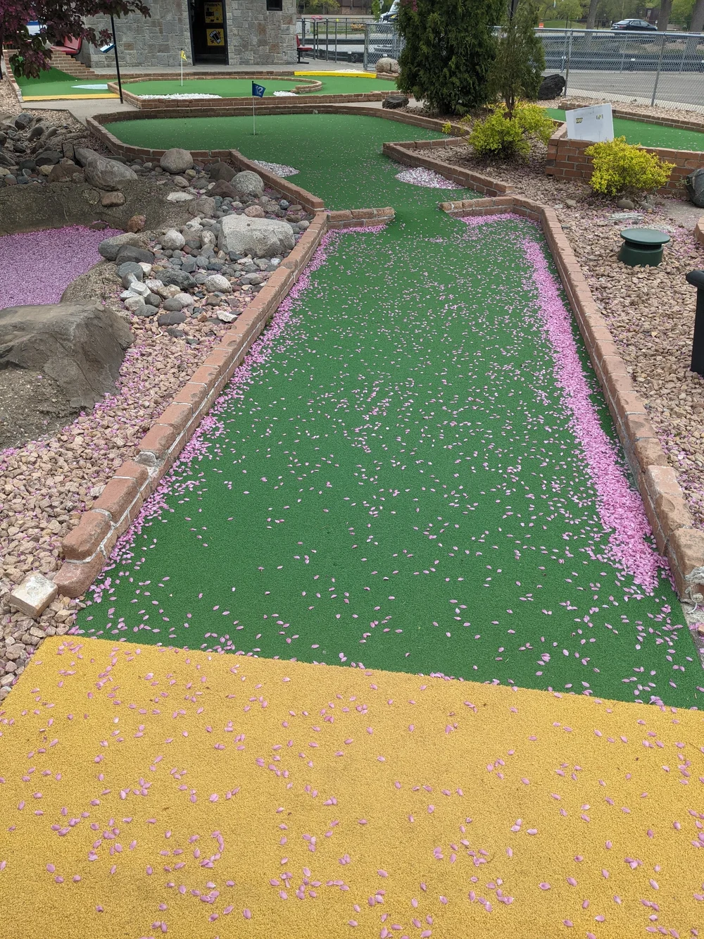 Lilli Putt — Putt Craft