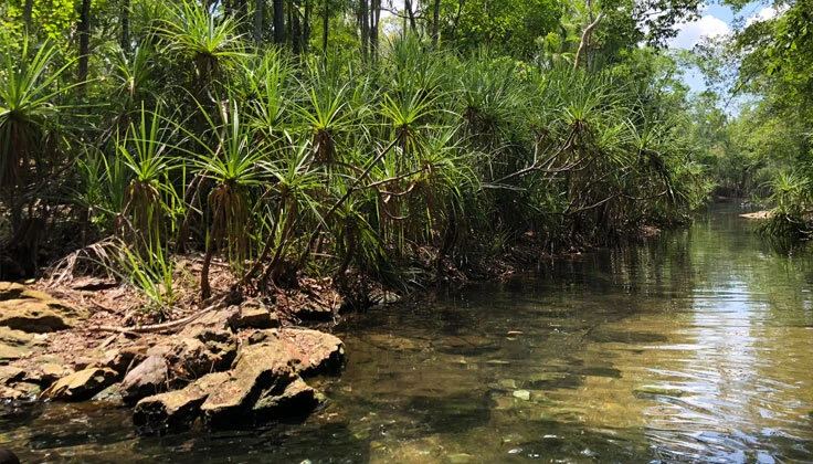 First Languages Australia