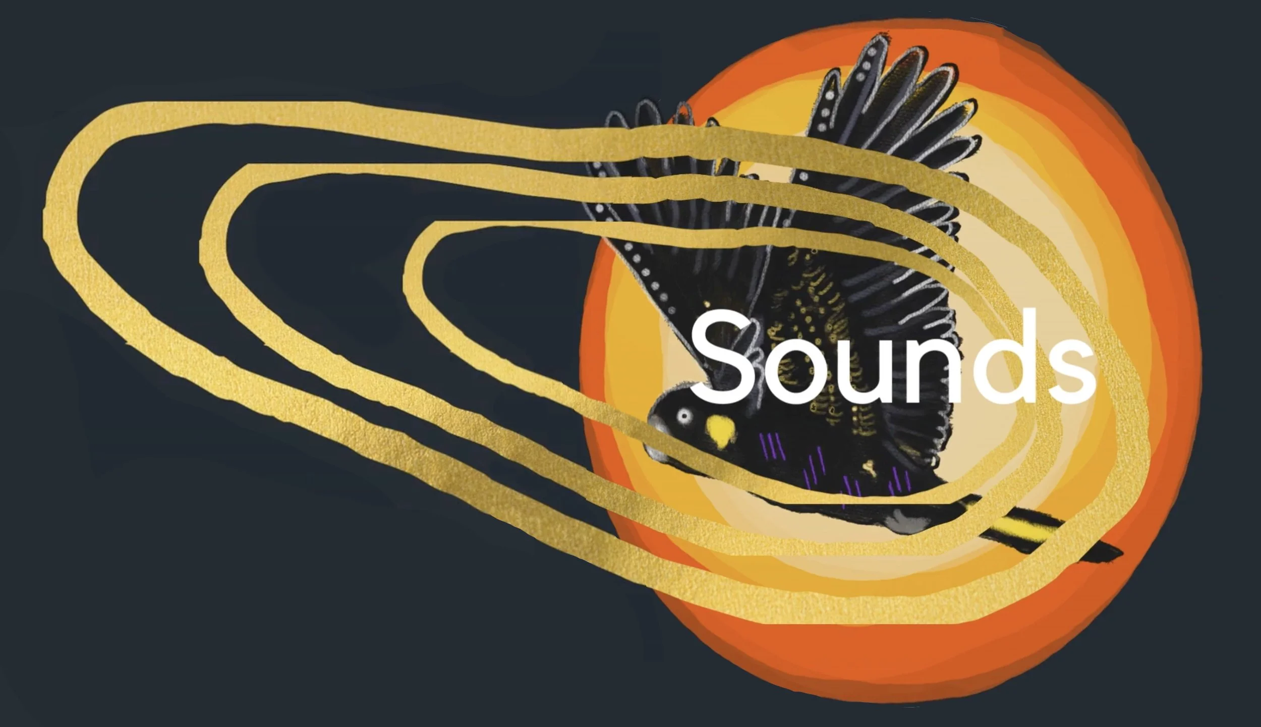 Sounds in Aboriginal and Torres Strait Islander languages — First ...