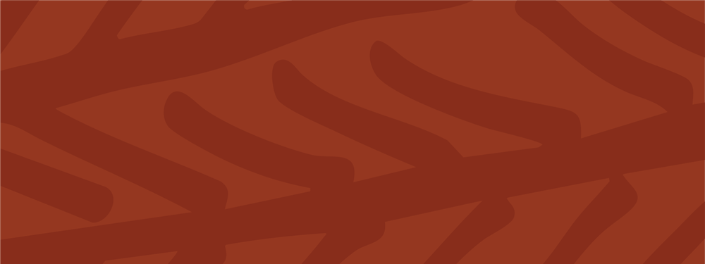 Indigenous Language Fluency Transfer System — First Languages Australia