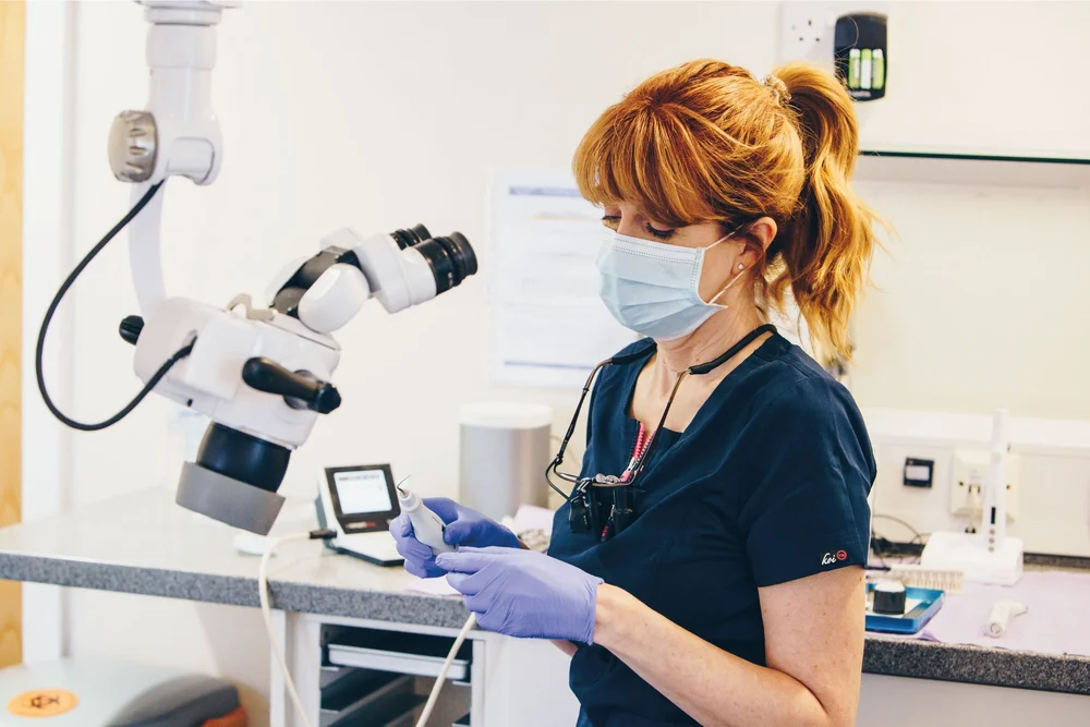 Endodontic Cae Study — Smile Inc.