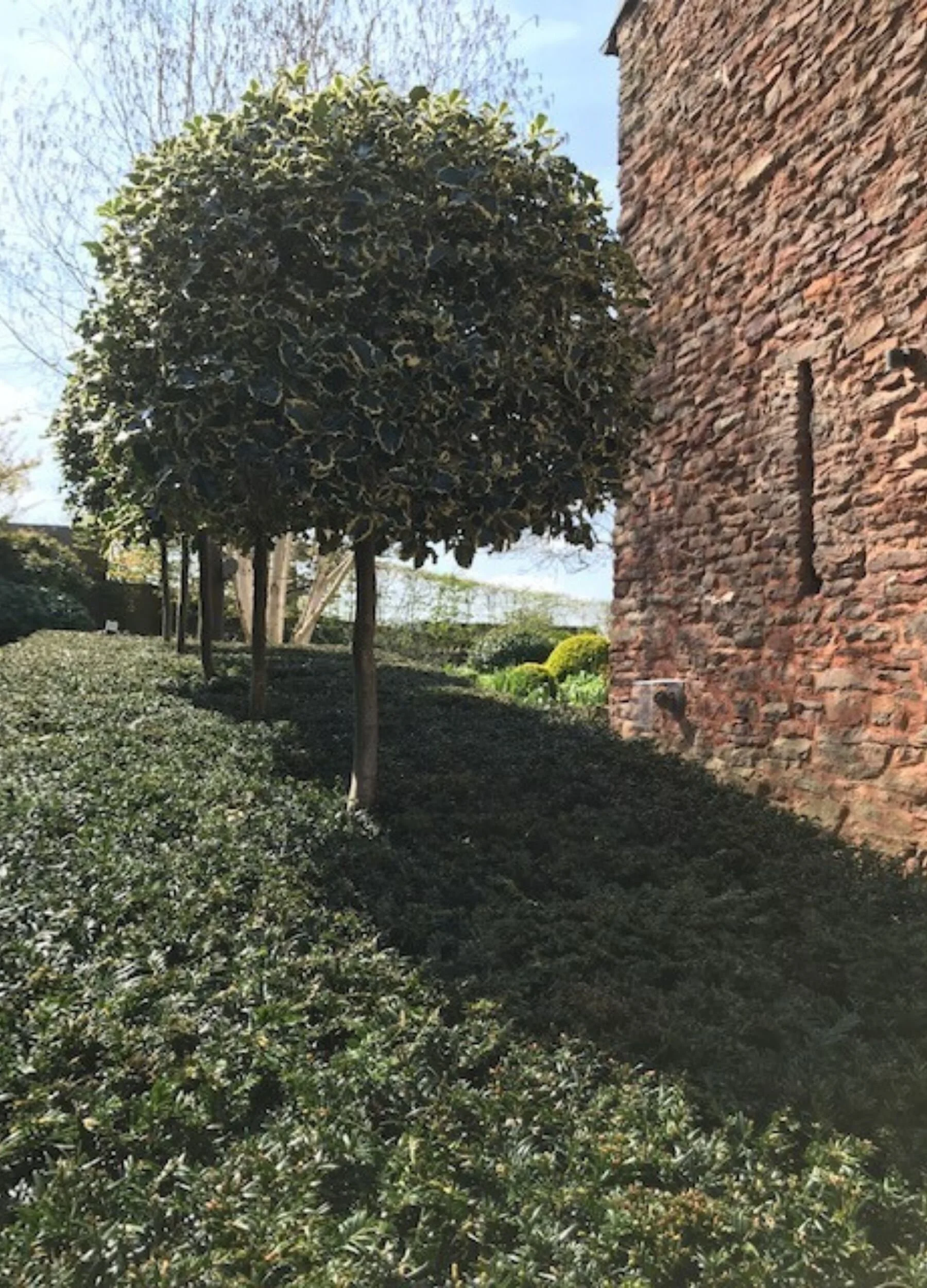 Project 3 : Julian & Sue — BRISTOL GARDEN COMPANY