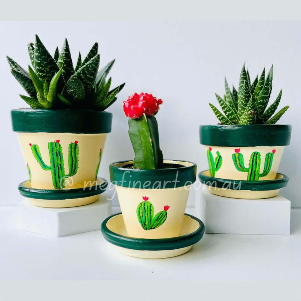 Indoor Cactus Pot