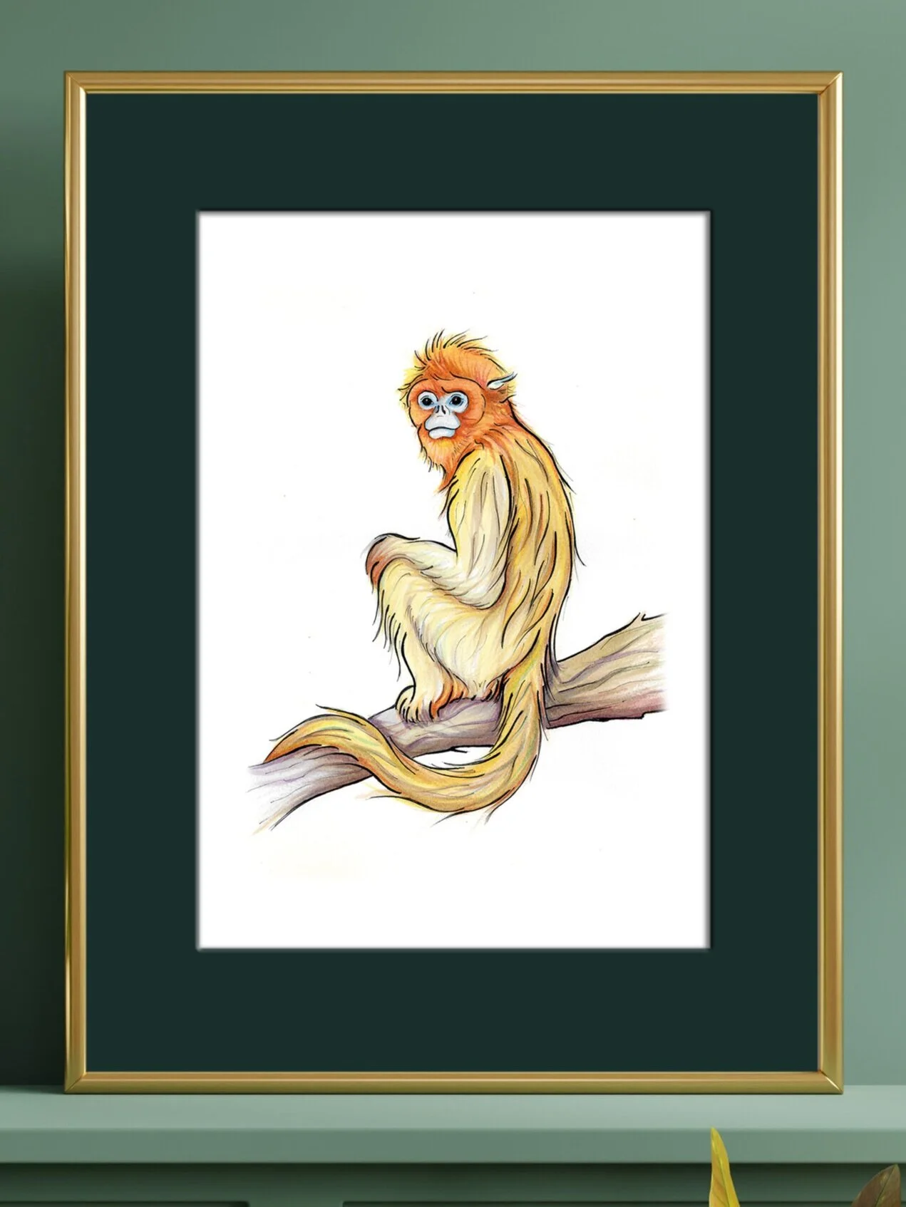 Shop — Stella Alexander Art
