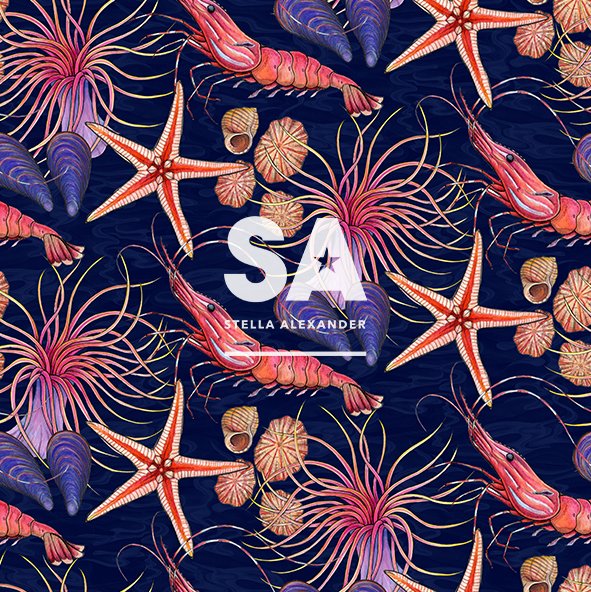Shop — Stella Alexander Art