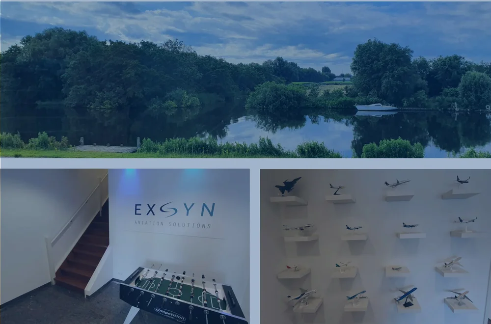 About EXSYN — EXSYN