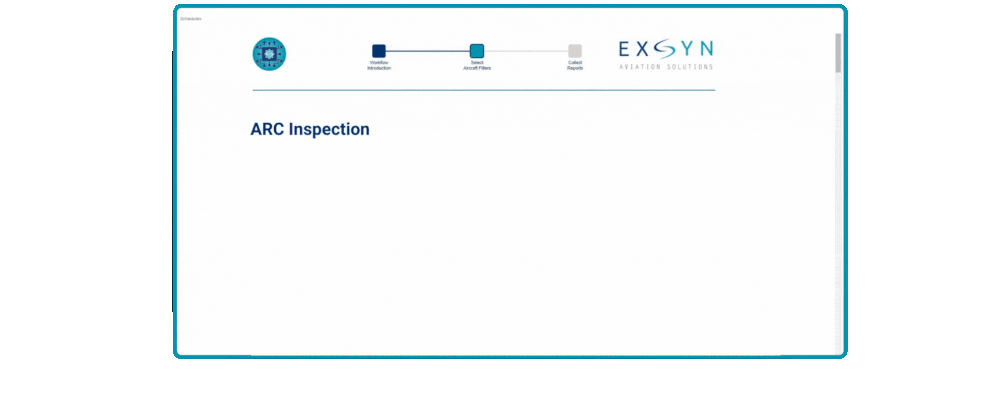 Airworthiness Reviews and Checks — EXSYN