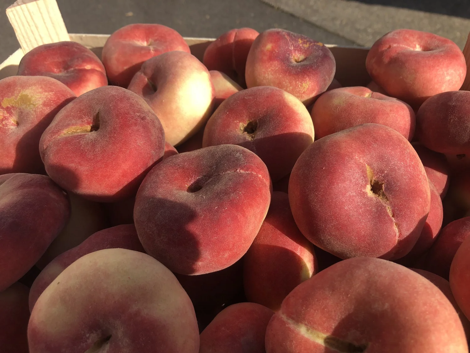 Semley Village Stores