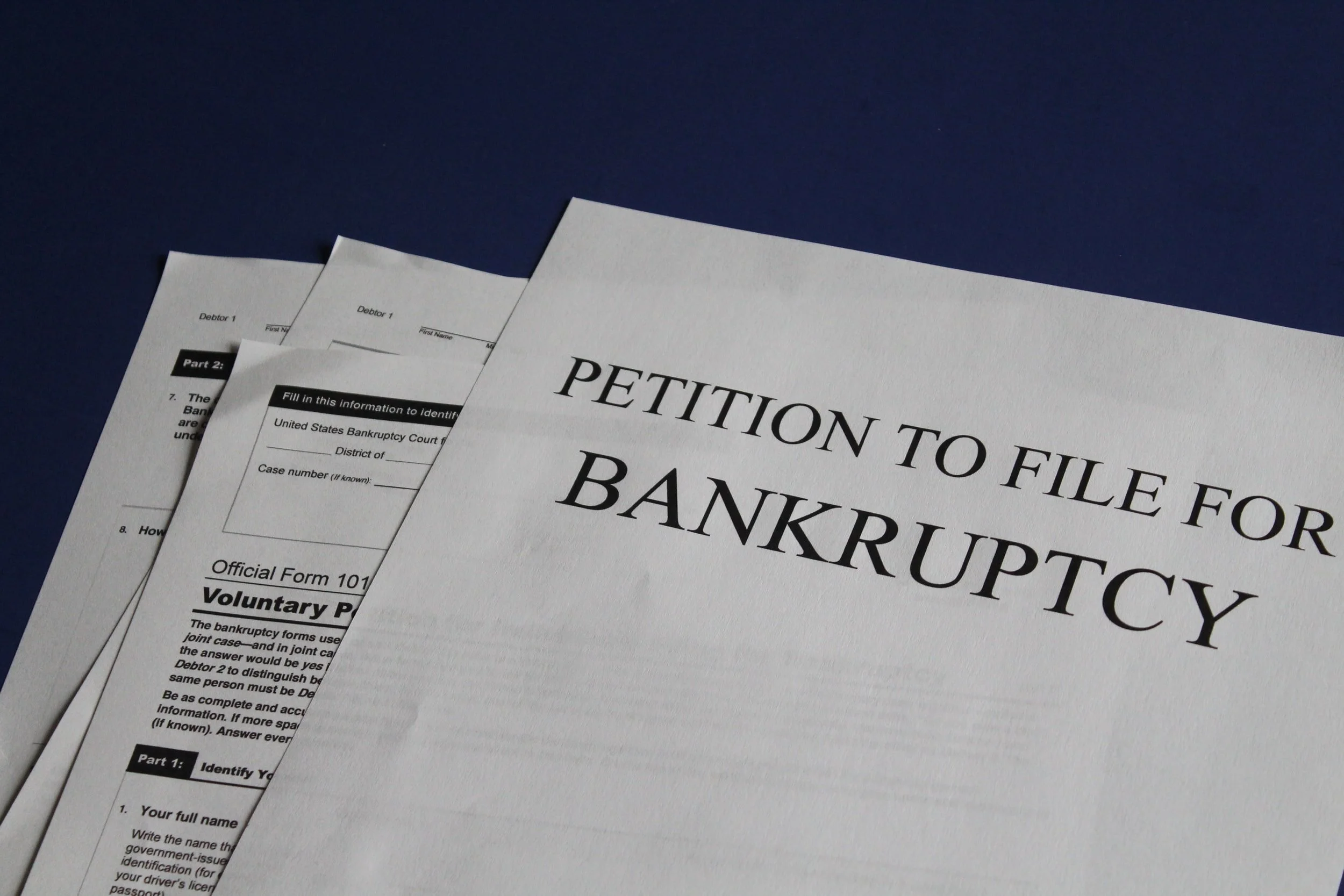 Bankruptcy Search — Speedy Search