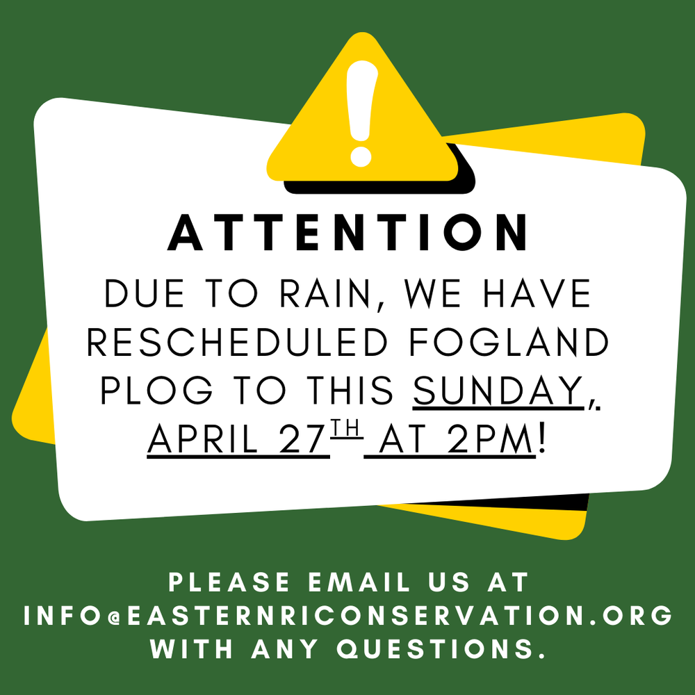 Fogland Plog — ERICD