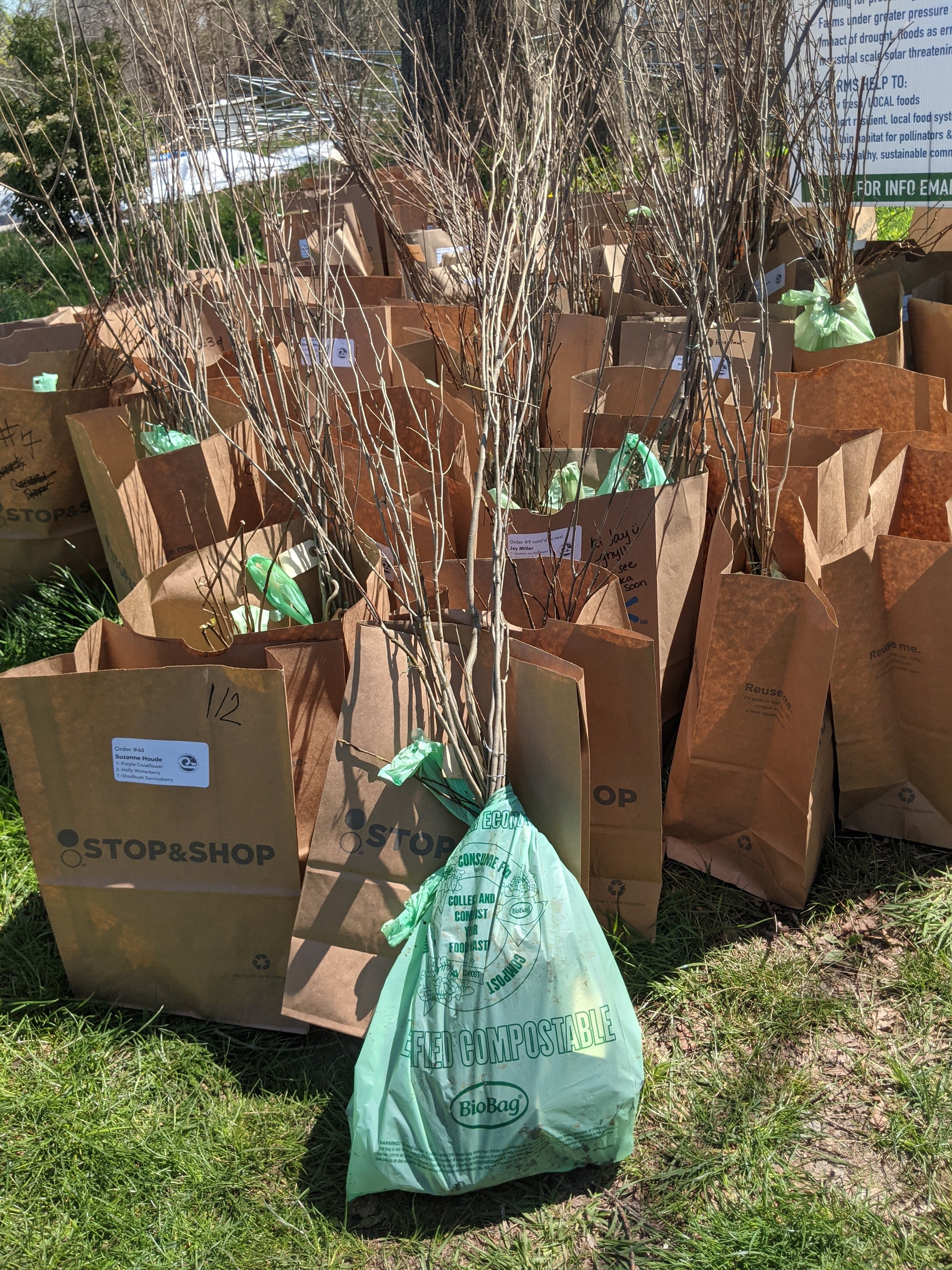 Earth Month — ERICD