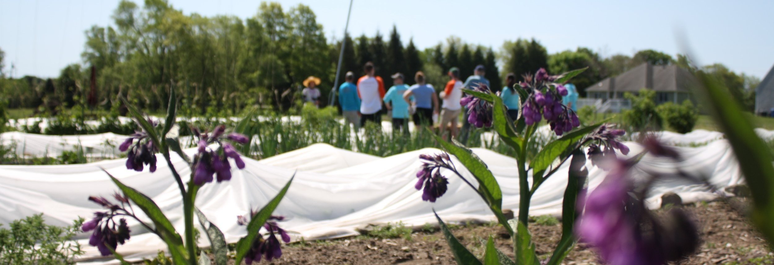 state-committee — ERICD