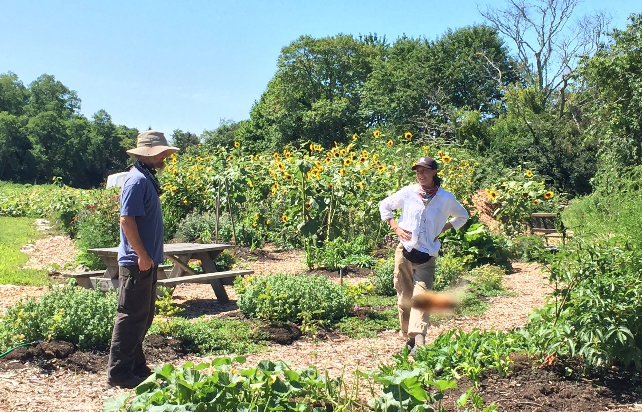 state-committee — ERICD