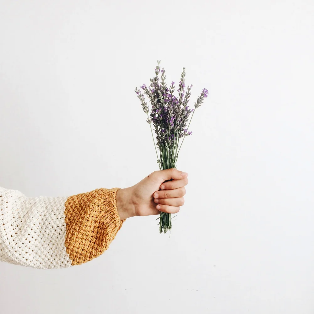 Lavender & Blackberry Bramble — Cooking & Cats