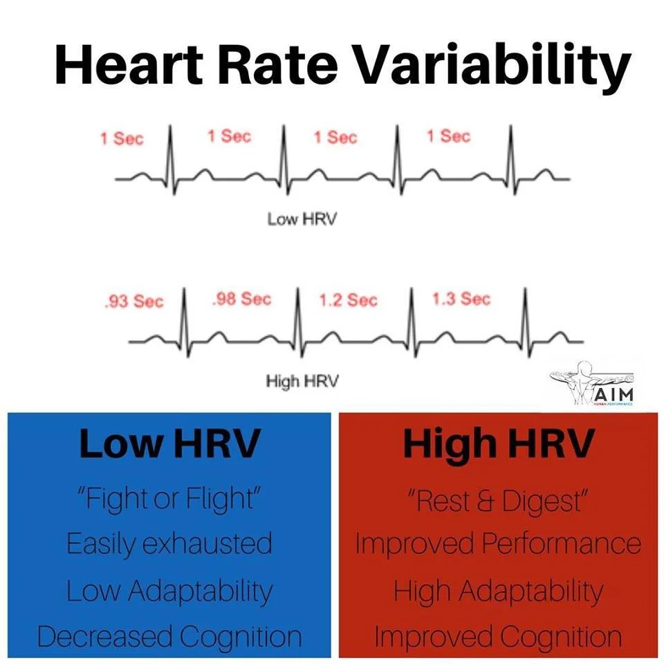 What Is Hrv | What is Heart Rate Variability (HRV)? [The Ultimate HRV ...