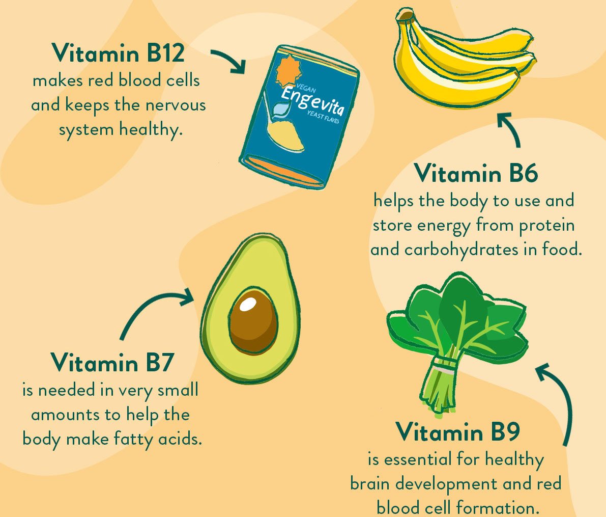 Deficiencies in vitamin and mineral nutrients in athletes — CONFLUENCE ...