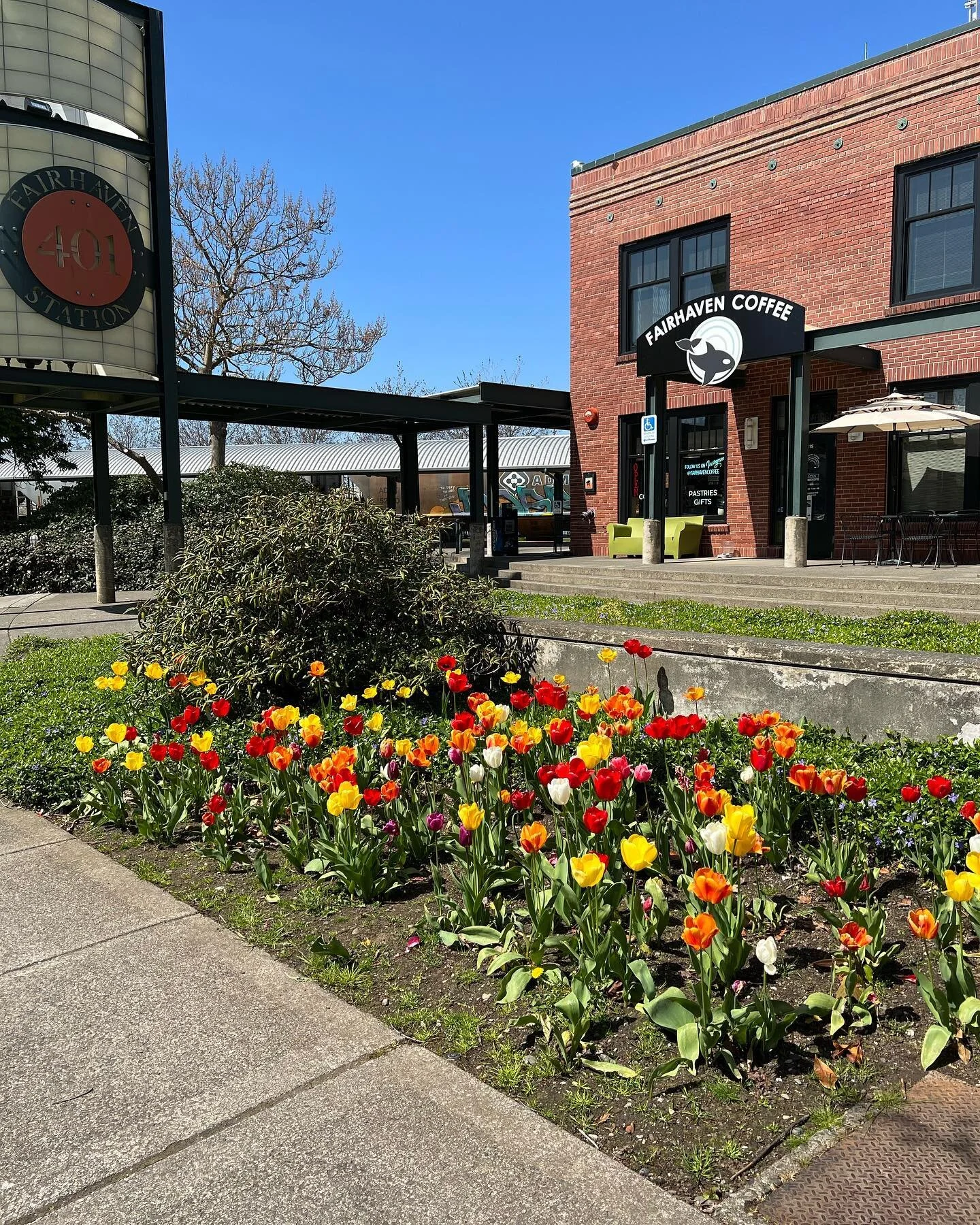 Fairhaven Coffee