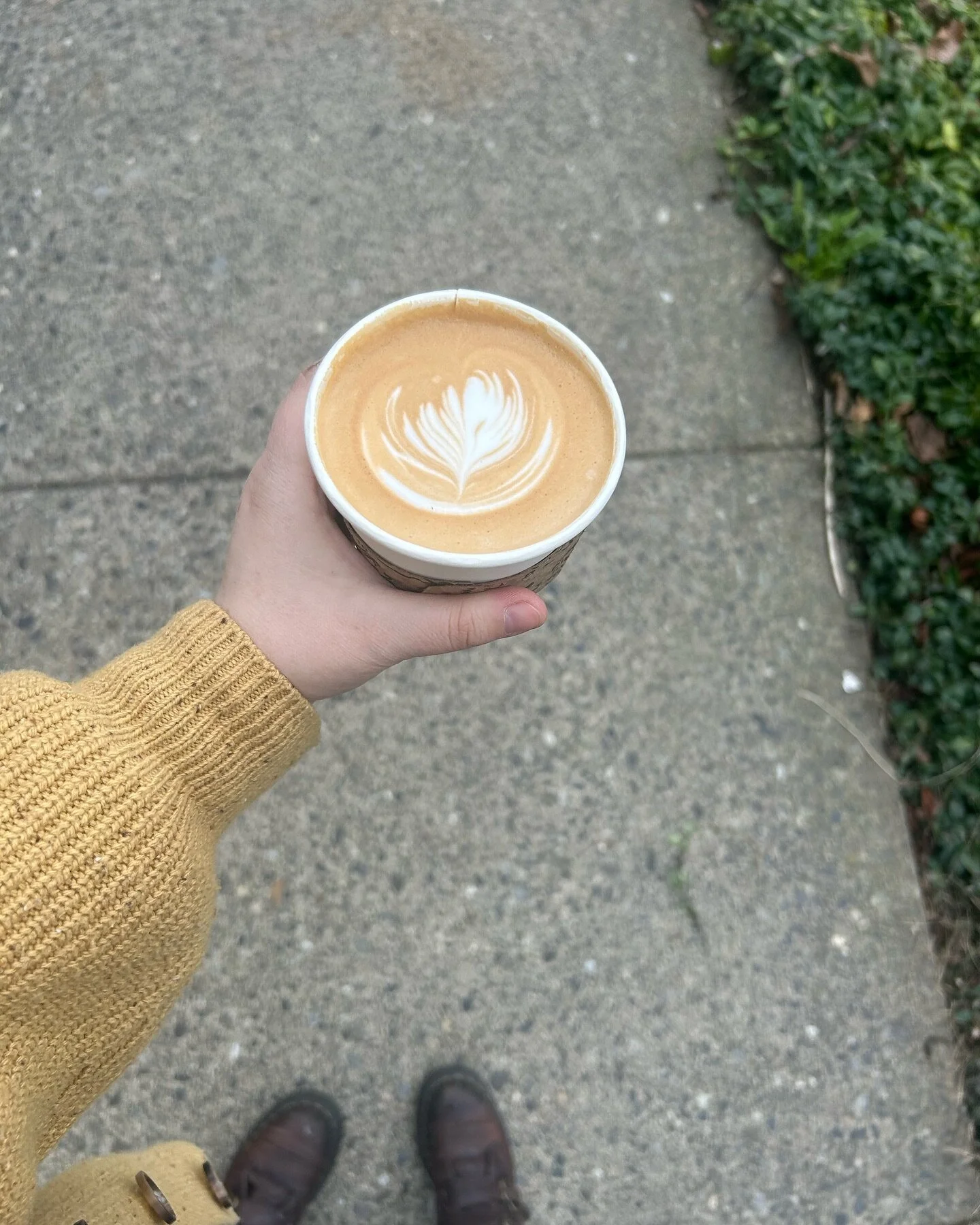 Fairhaven Coffee