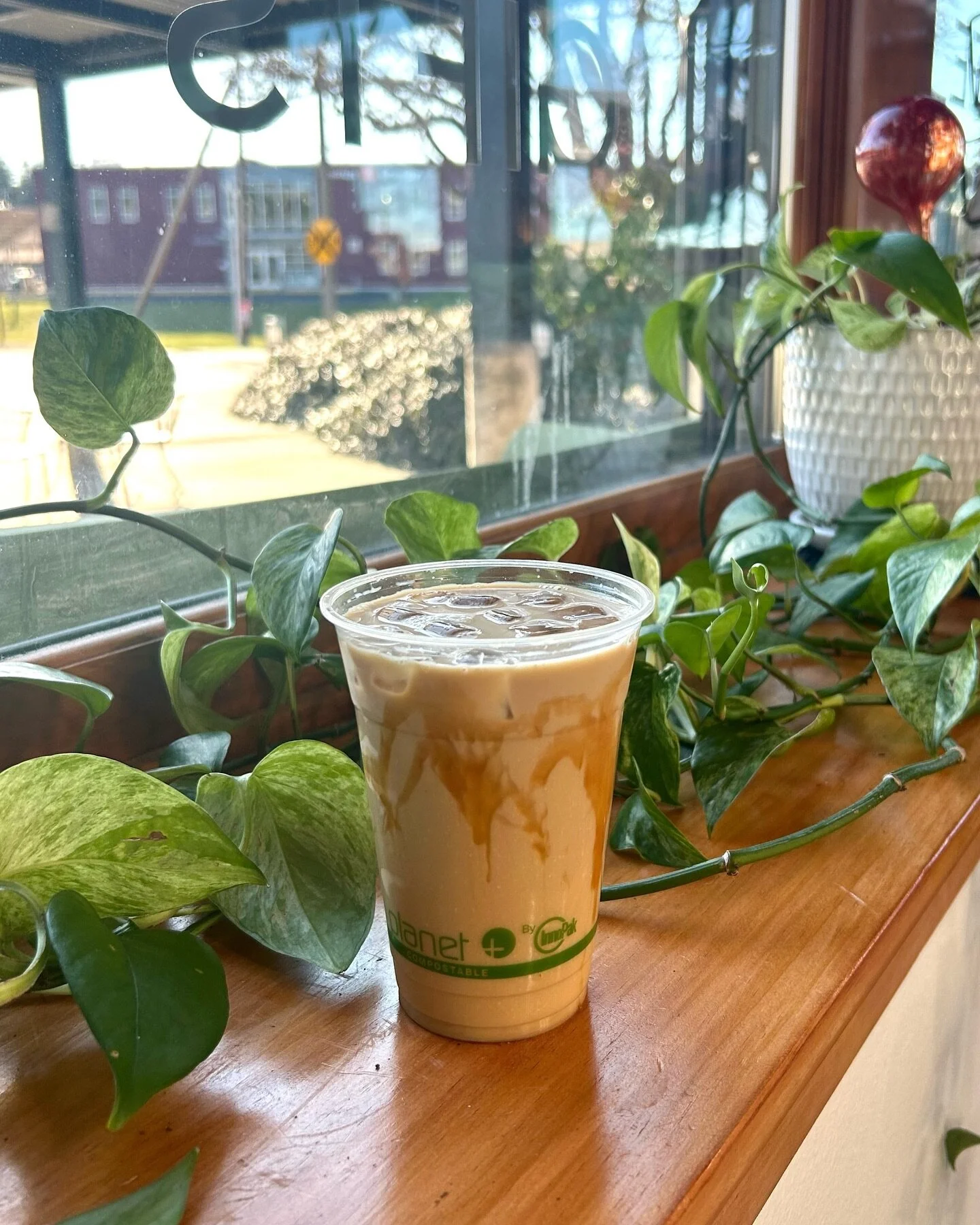 Fairhaven Coffee