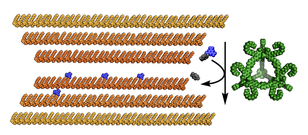 Precision Catalysis — Schneebeli Research Group