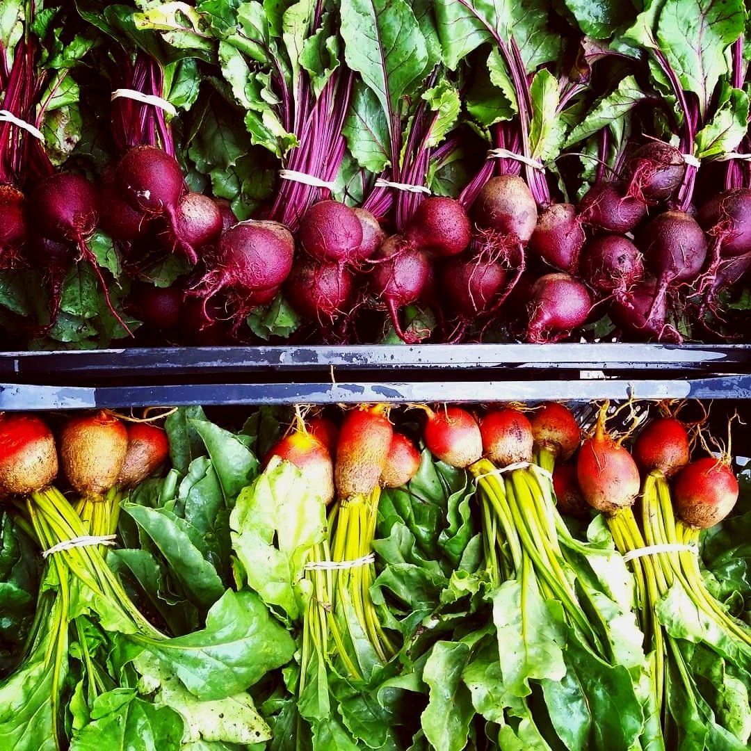 Broadview Farm and Gardens