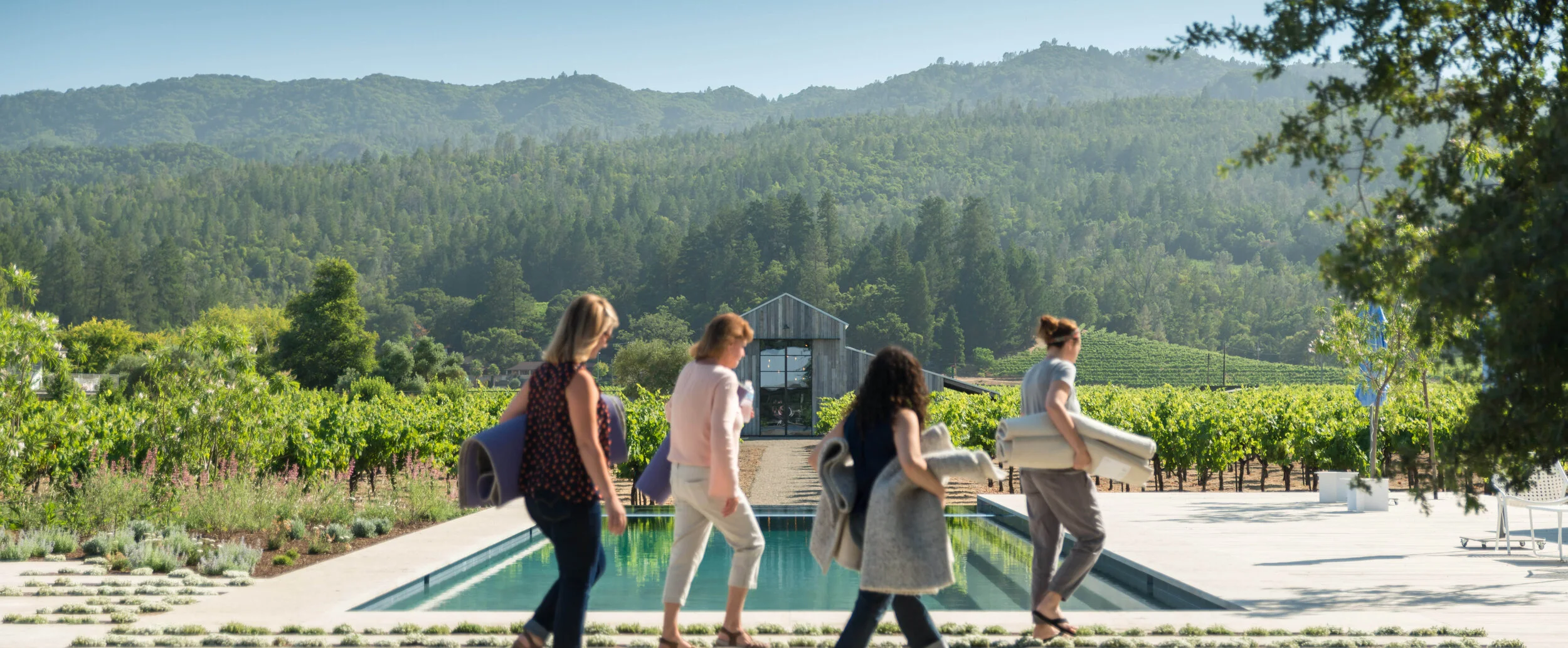 Zin House — Shawback Design