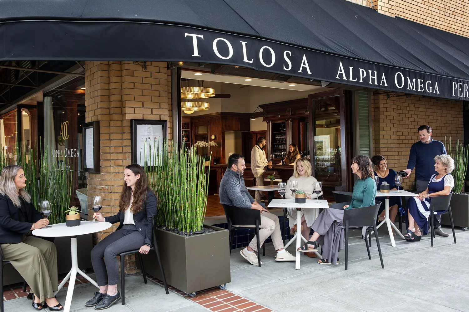 Alpha Omega Collective — Shawback Design