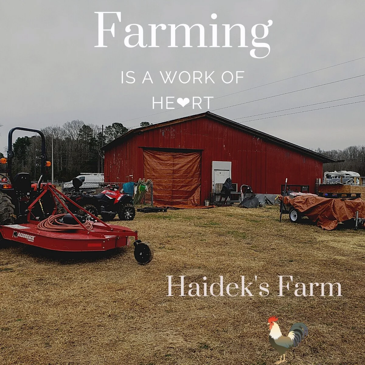 Haidek's Meat Market