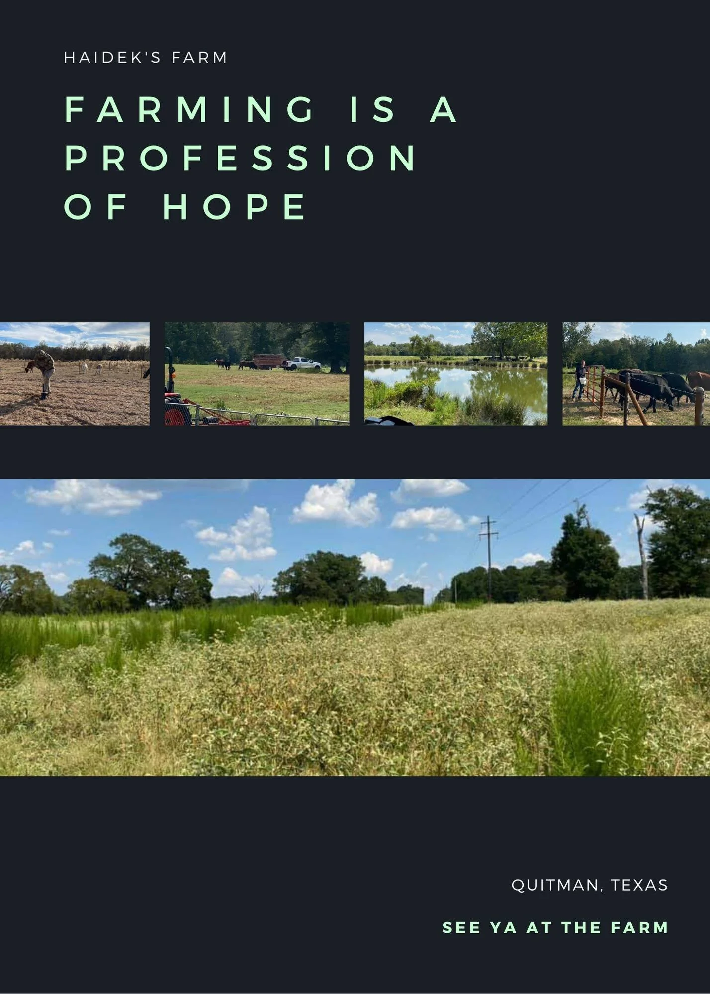 Haidek's Meat Market