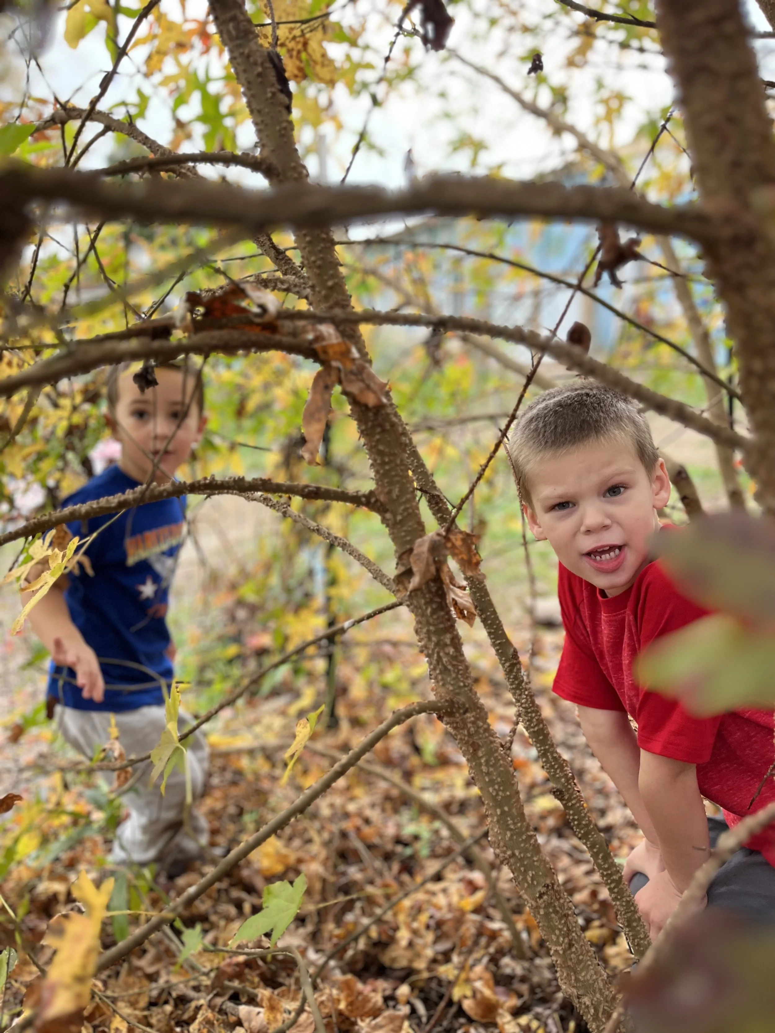 Drop-Ins — Treehouse Nature School