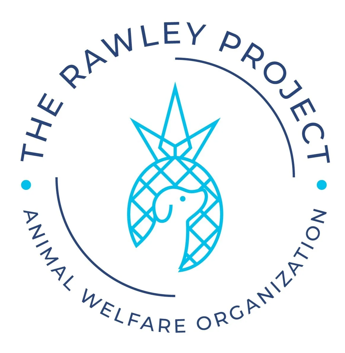 The Rawley Project