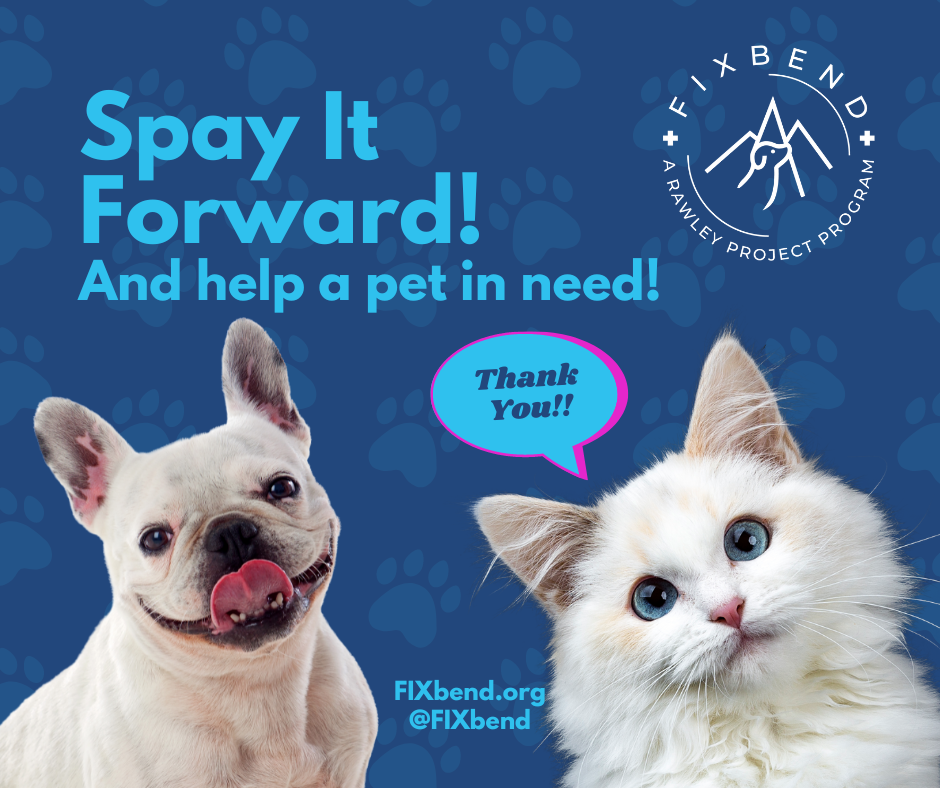 FIXbend spay and neuter — The Rawley Project