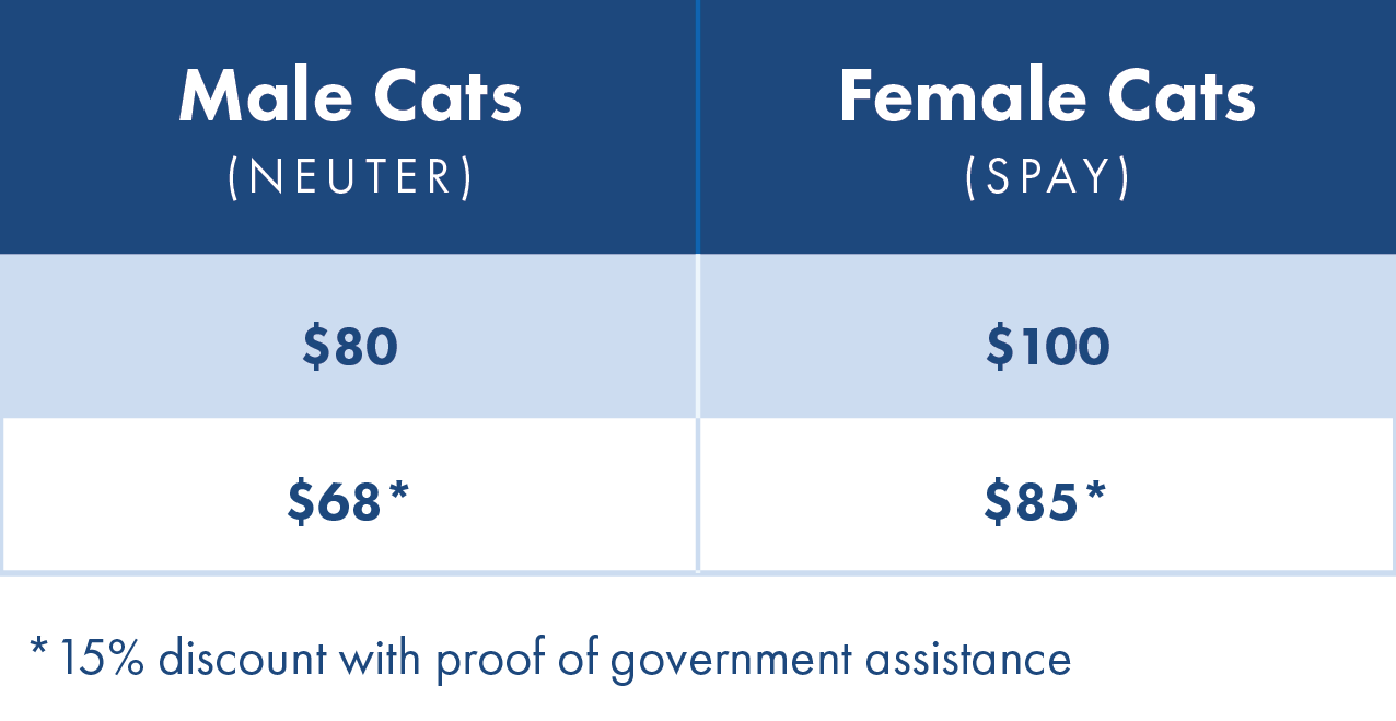 FIXbend spay and neuter — The Rawley Project