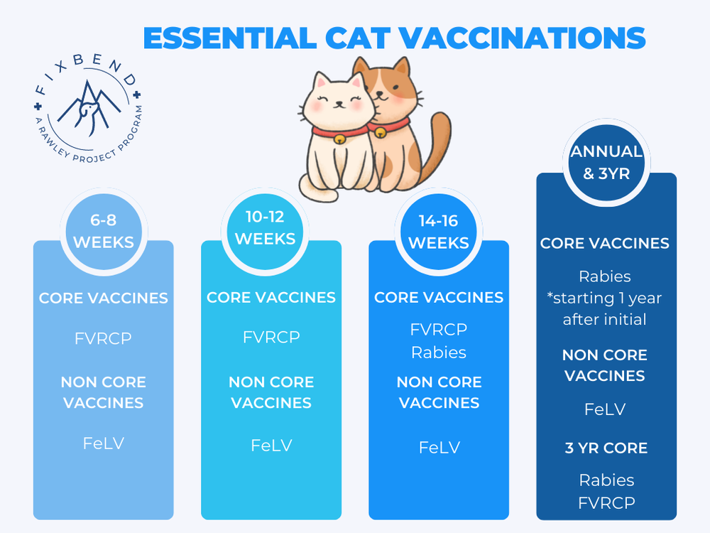 FIXbend spay and neuter — The Rawley Project