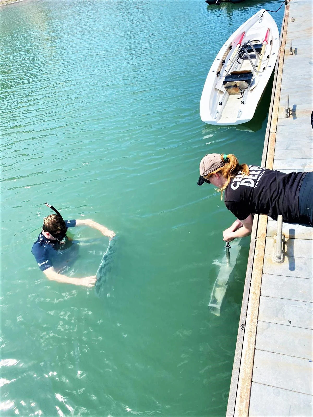 Research — Celtic Deep