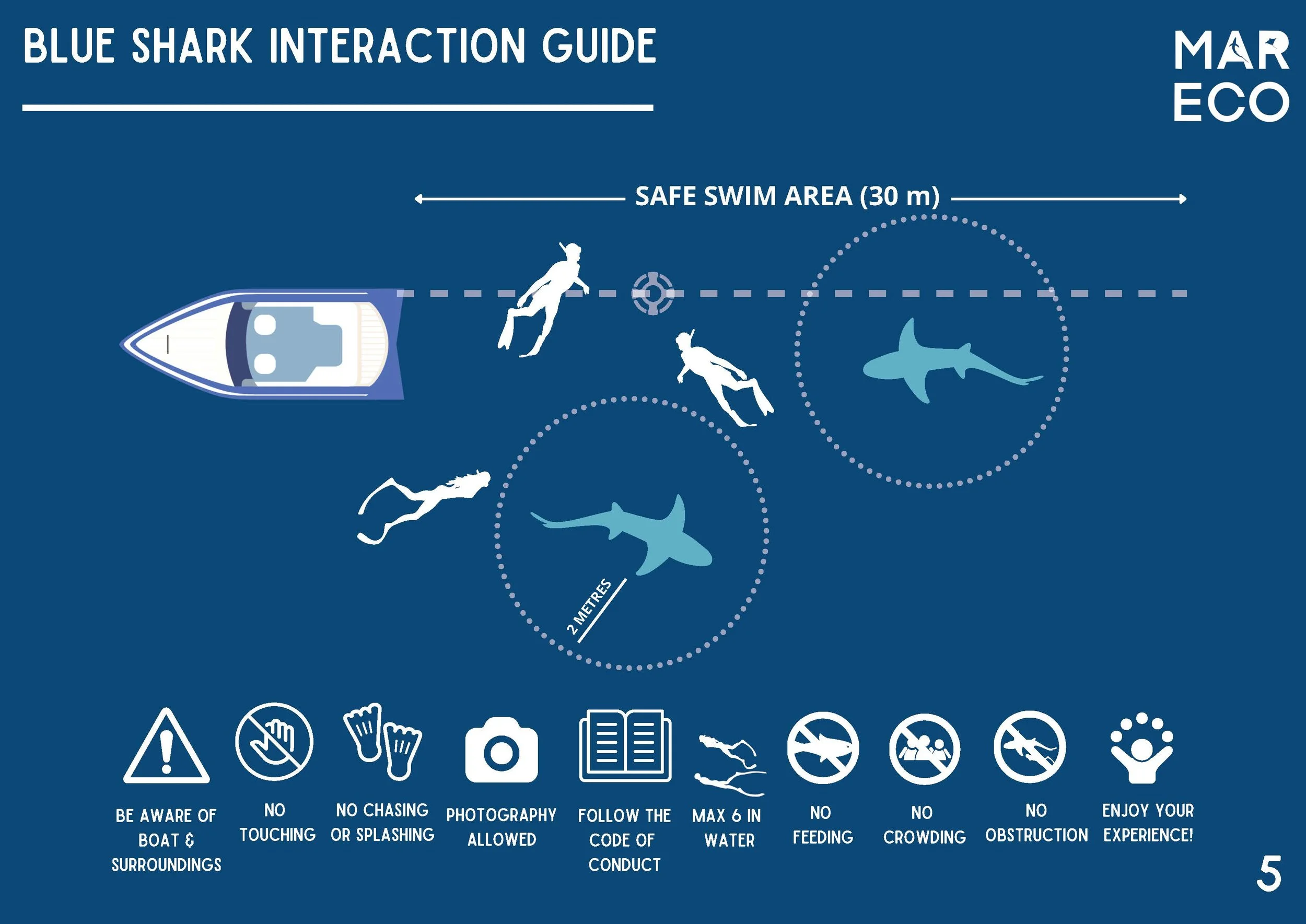 Our Approach — Celtic Deep