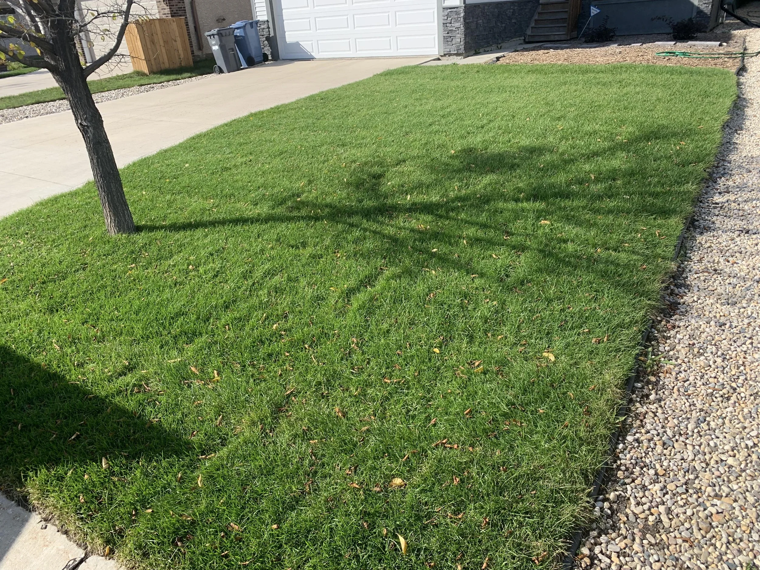Expert Sod Installation in Winnipeg | Bulger Brothers Landscapes