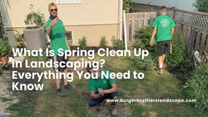 What Is Spring Clean Up for Landscaping in Winnipeg